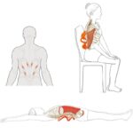 Posture Curve - Posture & Muscle Therapy Tool