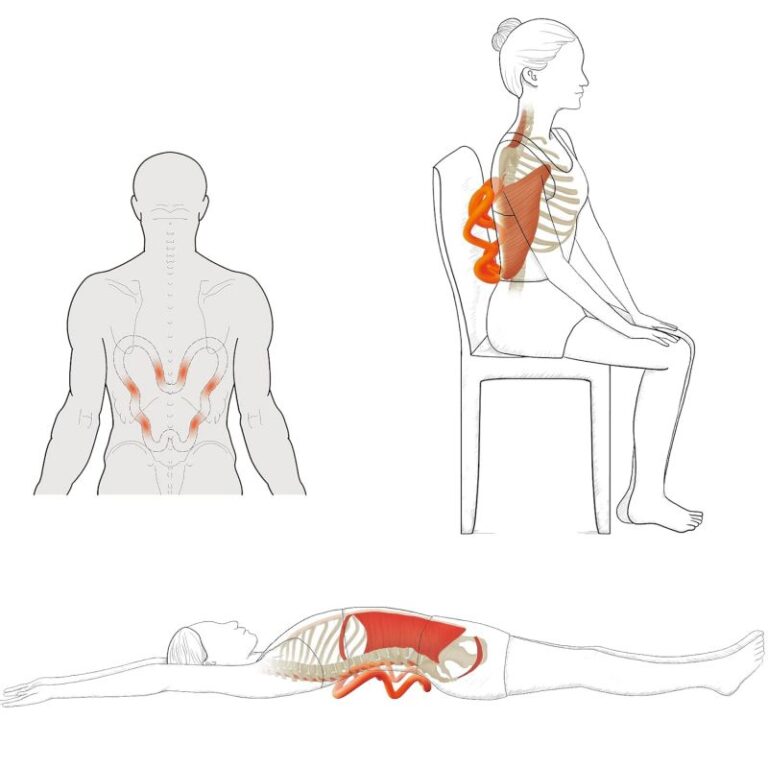 Posture Curve - Posture & Muscle Therapy Tool