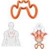 Posture Curve - Posture & Muscle Therapy Tool
