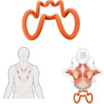 Posture Curve - Posture & Muscle Therapy Tool