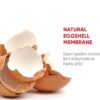 Natural Eggshell Membrane - Joint Health Supplement