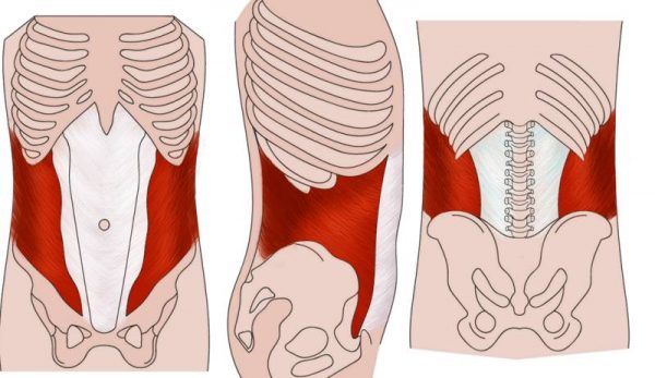 Transverse Abdominis Muscle Activation For Back & Neck Pain